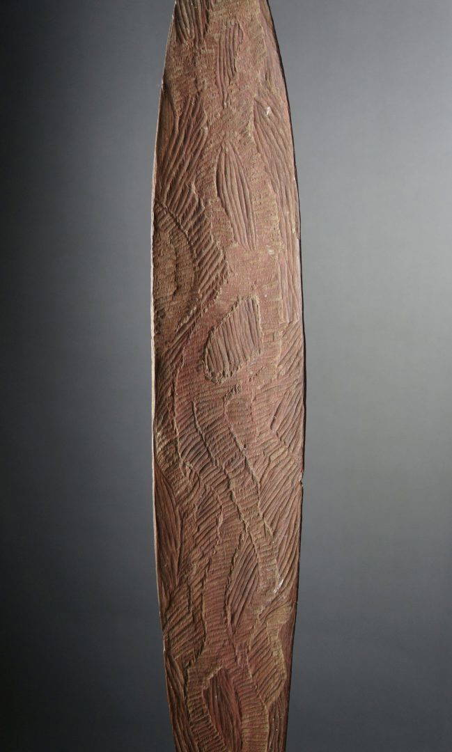 Woomera. | Adam Prout Ethnographic Art